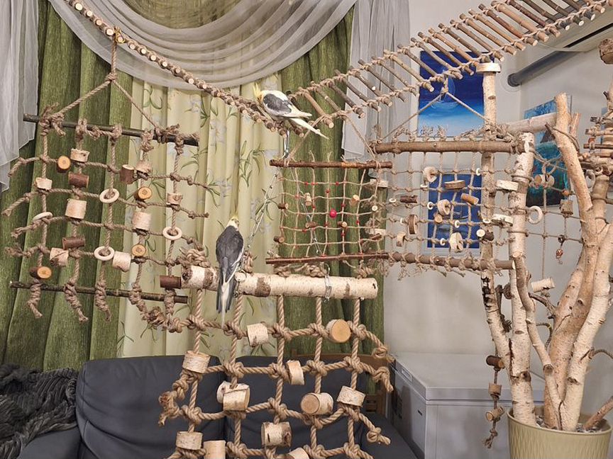 Сетка-лазалка для попугаев, игрушка разные размеры