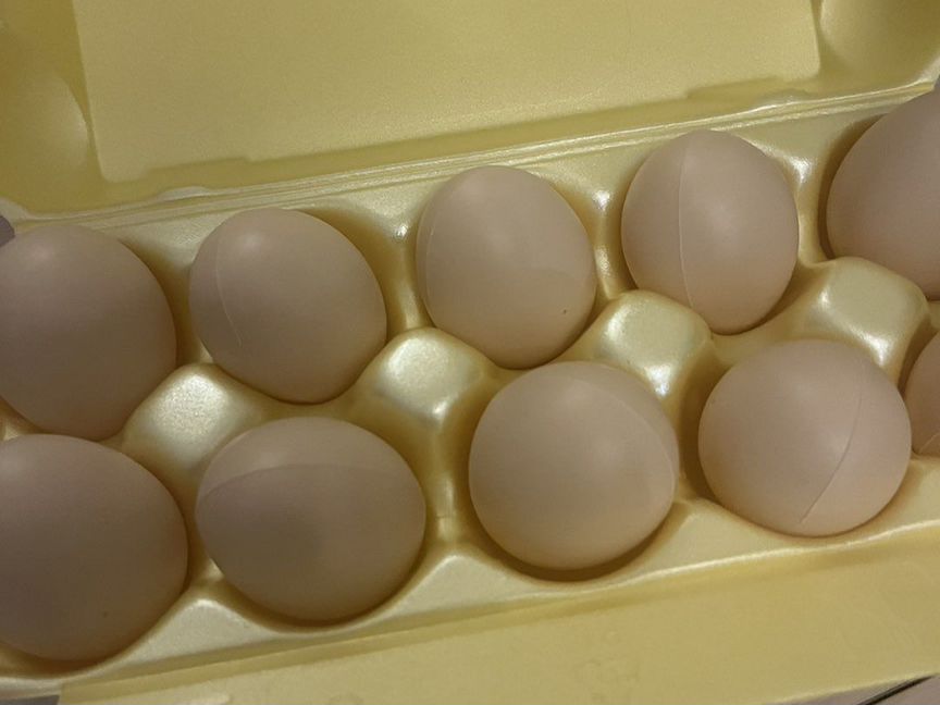 Яйца подкладные