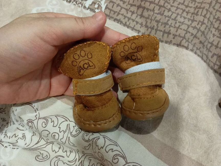 Зимние ботинки для собак