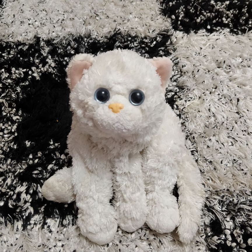 Белый котик с голубыми глазами