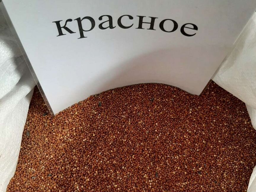 Продажа просо