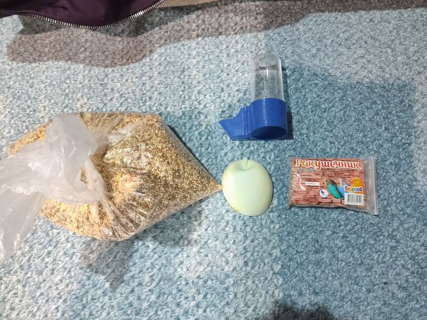 Принадлежности для попугая