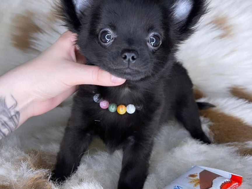 Кукольный мини мальчишка