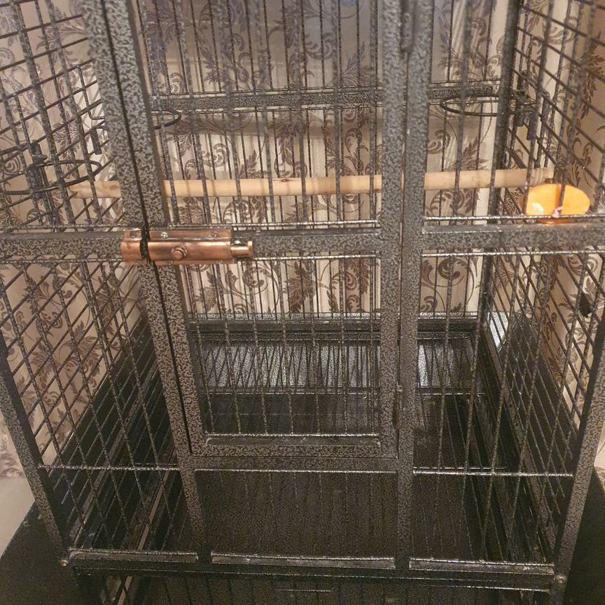 Клетка для крупного попугая