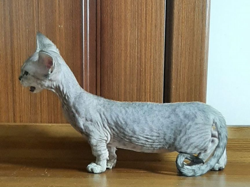 Minskin минскин