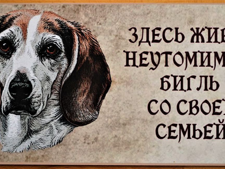 Сувенирная табличка Бигль авторская