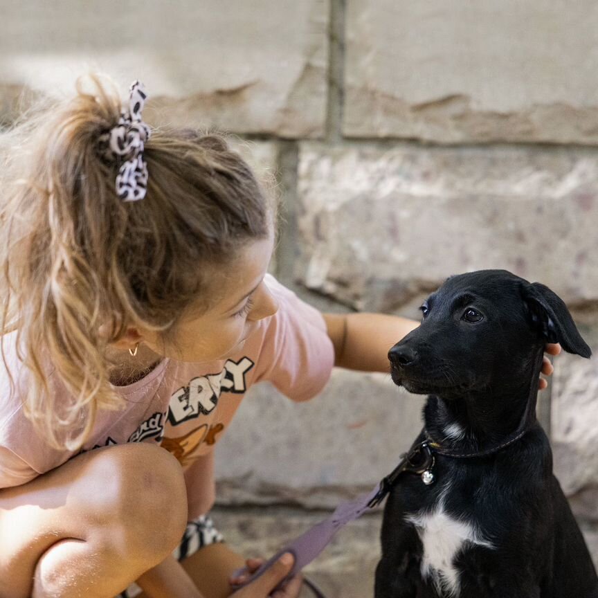 Марго ищет дом