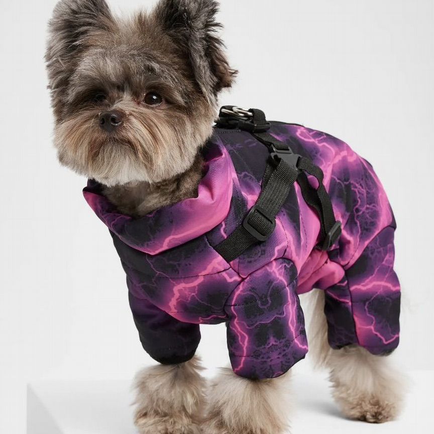 Утепленный комбинезон для собак и кошек Зоозавр