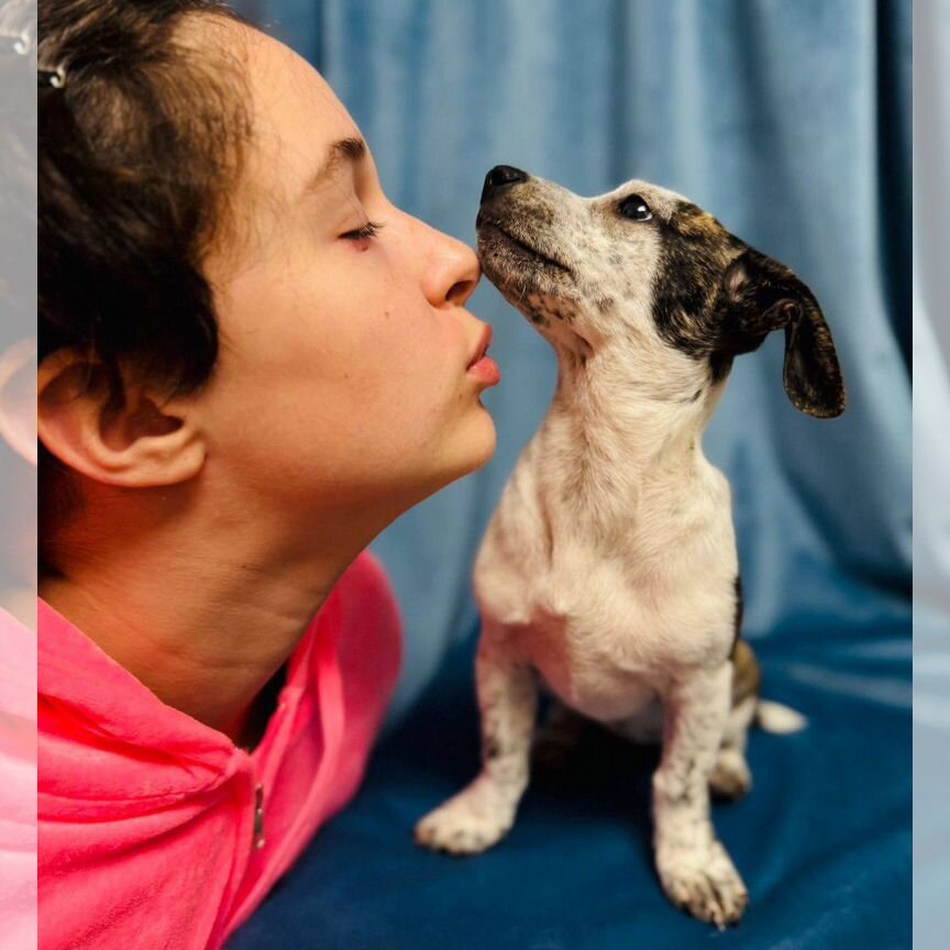 Щенок в добрые руки