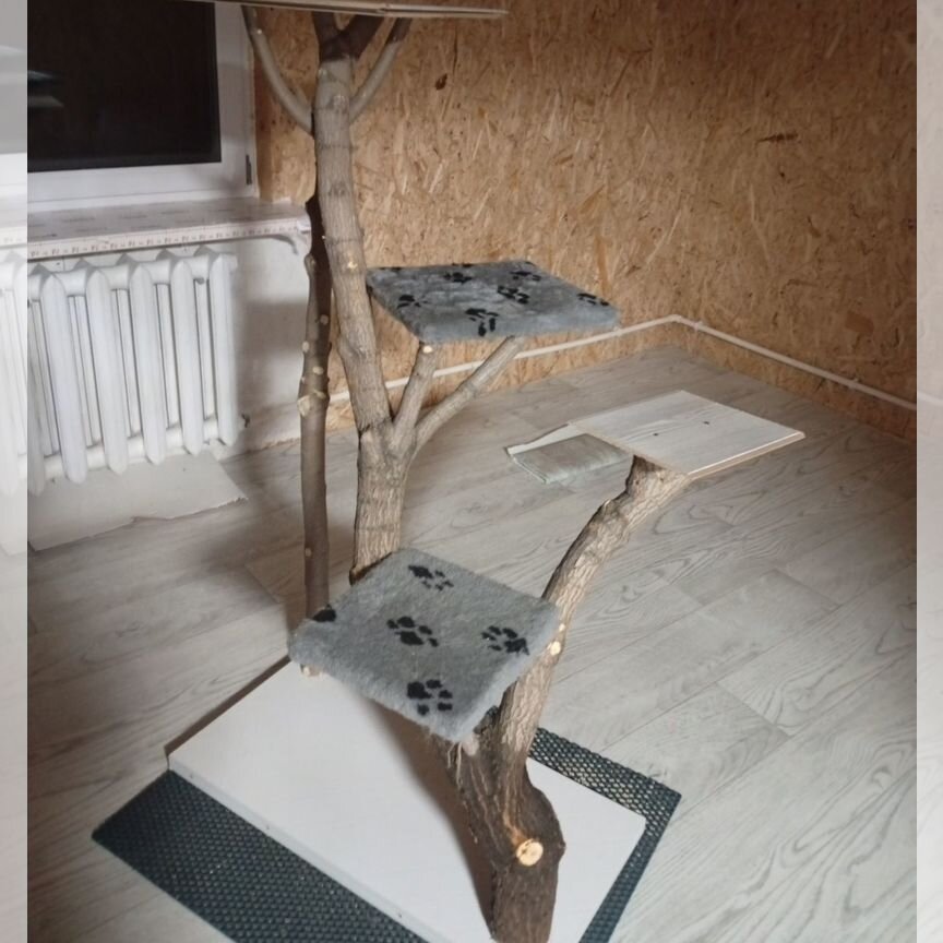 Когтеточка