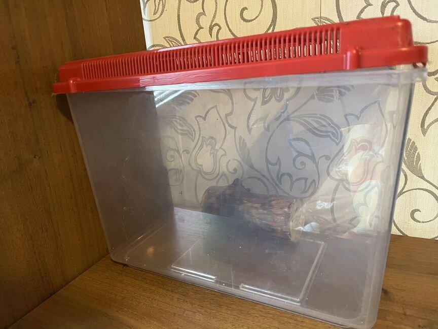 Террариум пластиковый