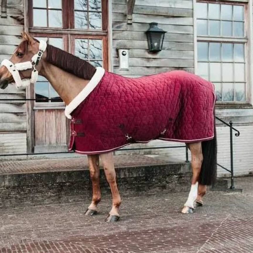 Попона kentucky velvet