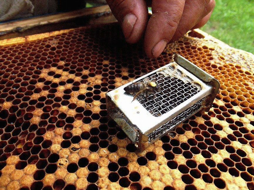 Инвентарь для пасеки, утеплители