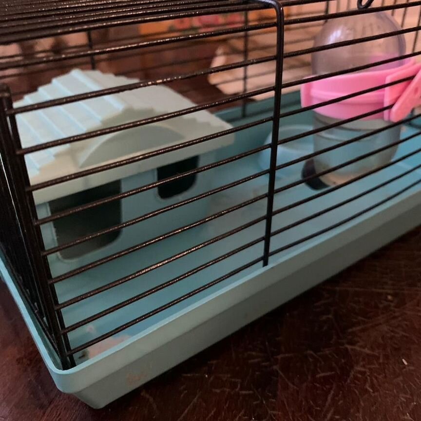 Клетка для джунгарского хомяка