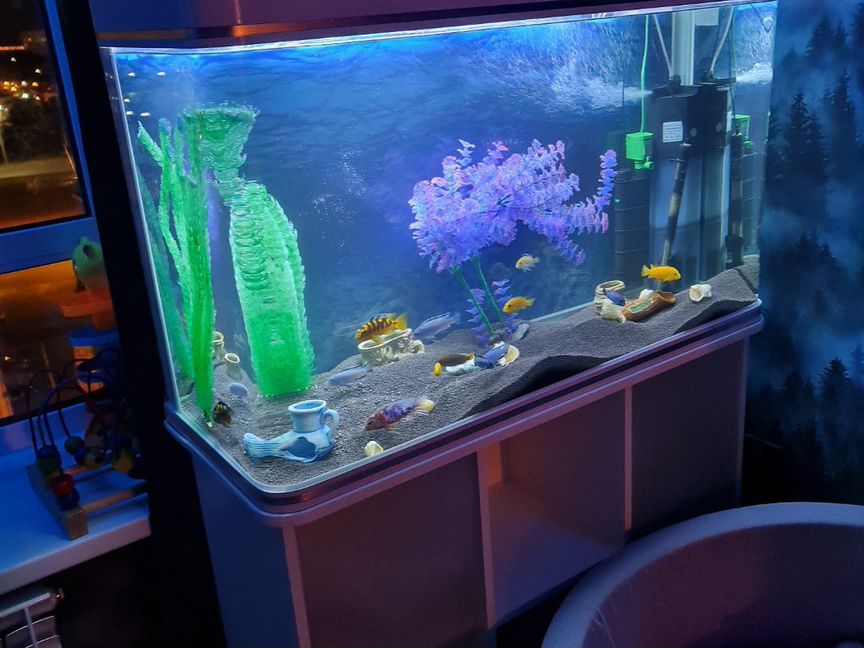 Аквариум barbus 200 литров с содержимым и тумбой