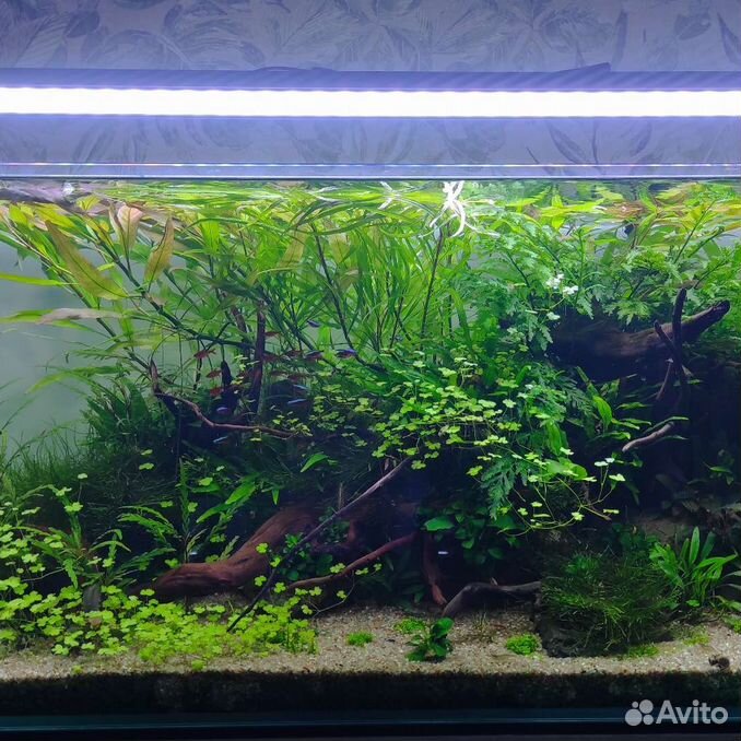 Украшение для аквариума