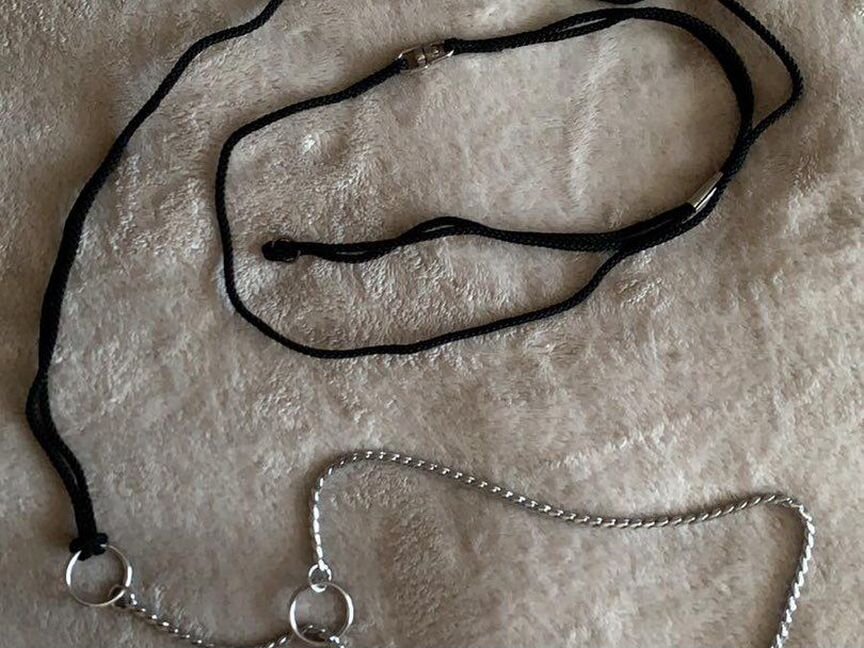 Ринговка для собак