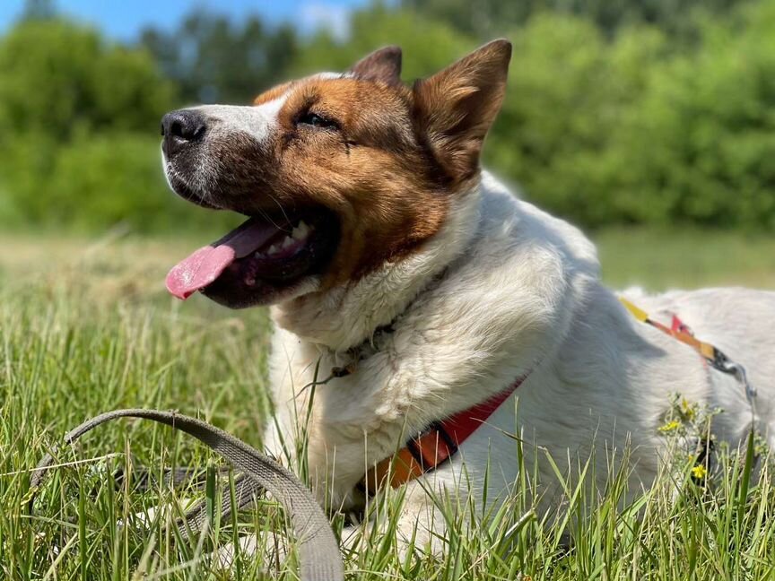 Самая чудесная девчуля из приюта