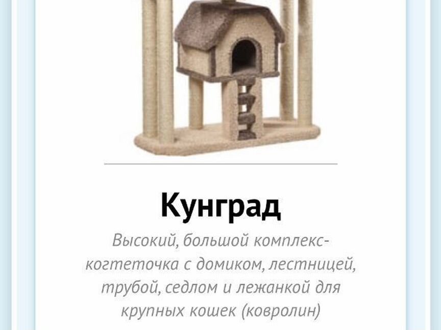 Большая когтеточка