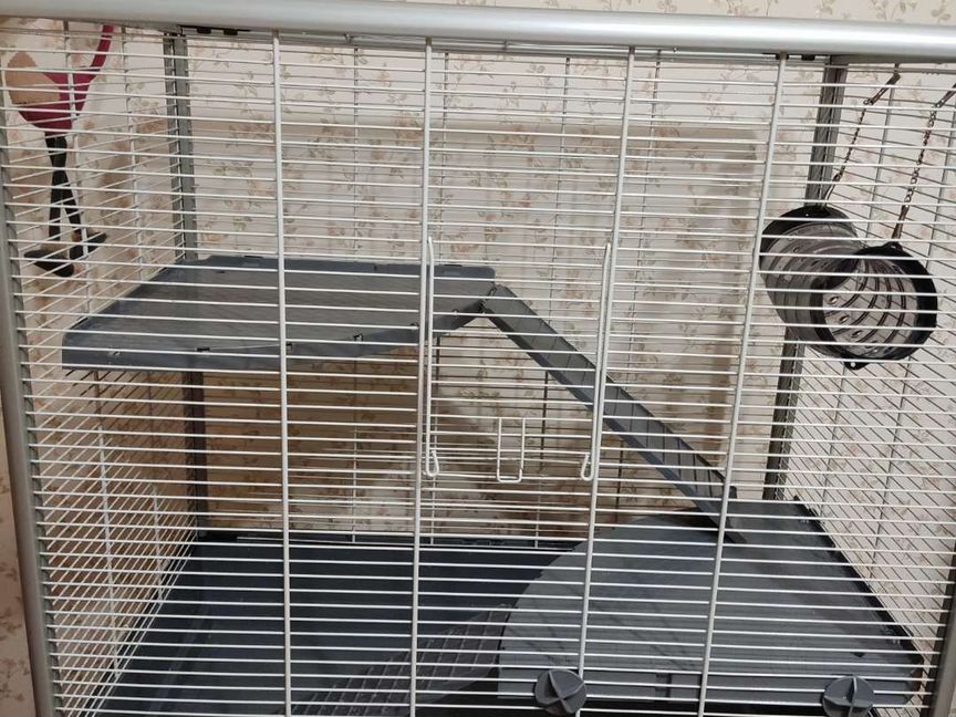 Клетка для крыс и шиншилл Ferplast Cincilla