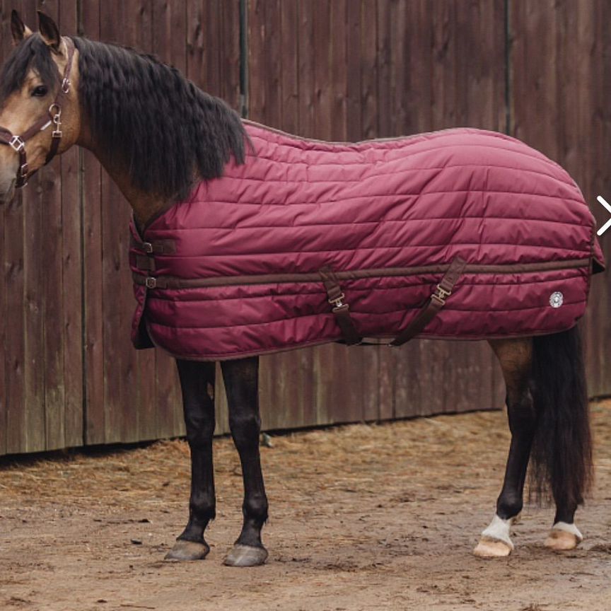 Попона денниковая 135