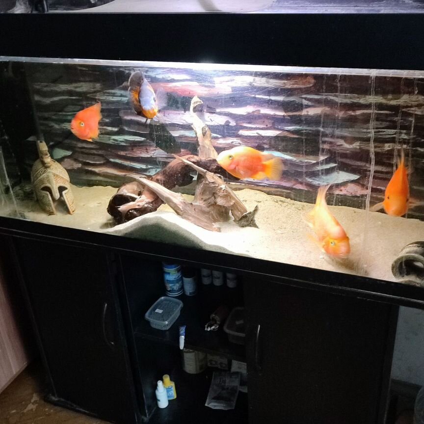 Аквариум с рыбками 250 литров