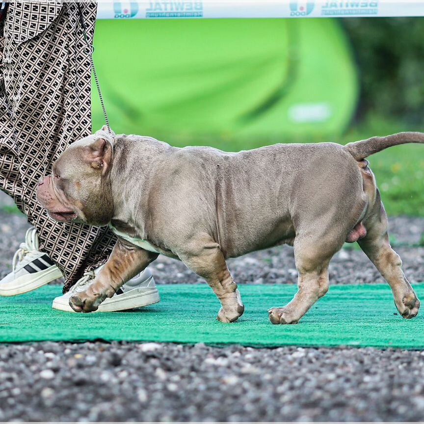 Красота и здоровье