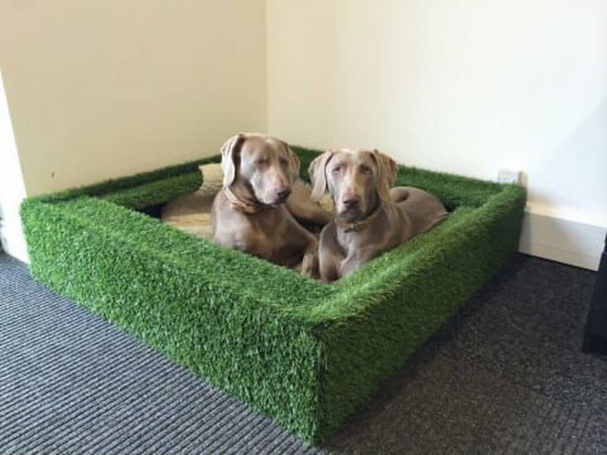 Лежанка для собак с искусственной травой