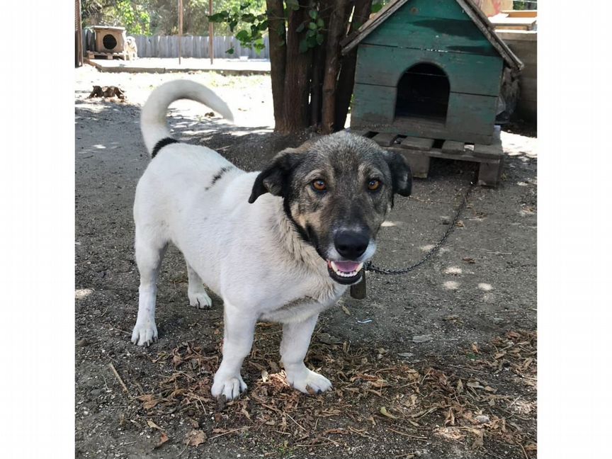 Помогите вызволить из ада