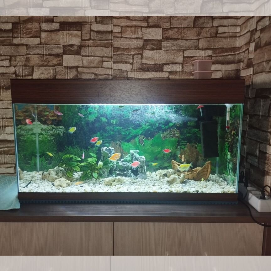 Аквариум с рыбками