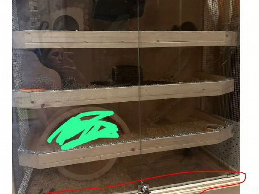 Витрина для дегу б/у