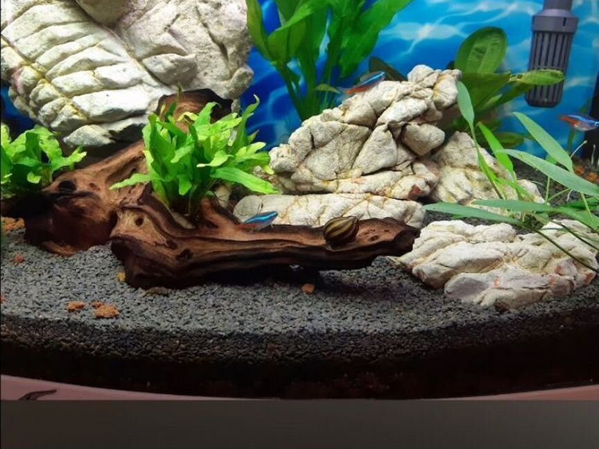 Аквариум с тумбой biodesing панорама 100