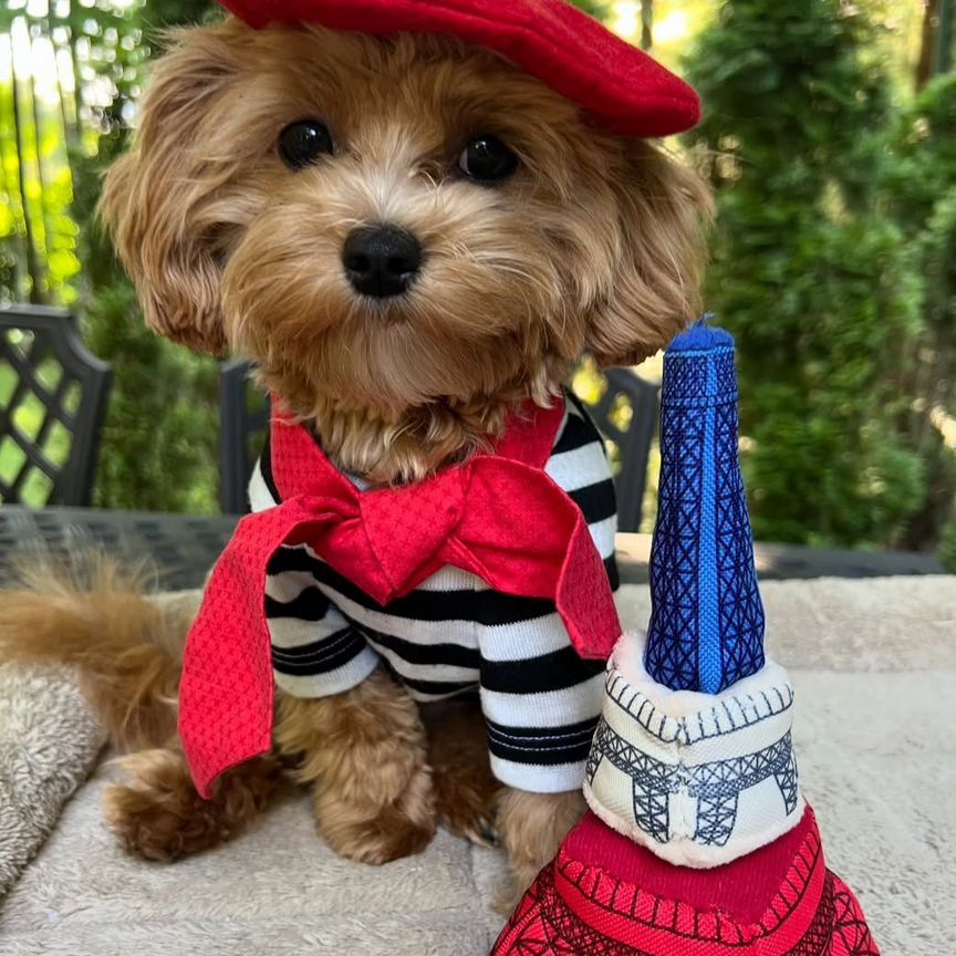 Мягкие игрушки для животных PetPlay Эйфелева Башня