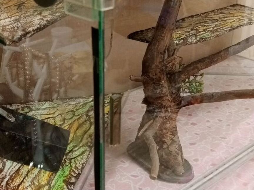 Террариум горизонтальный 40х40х80