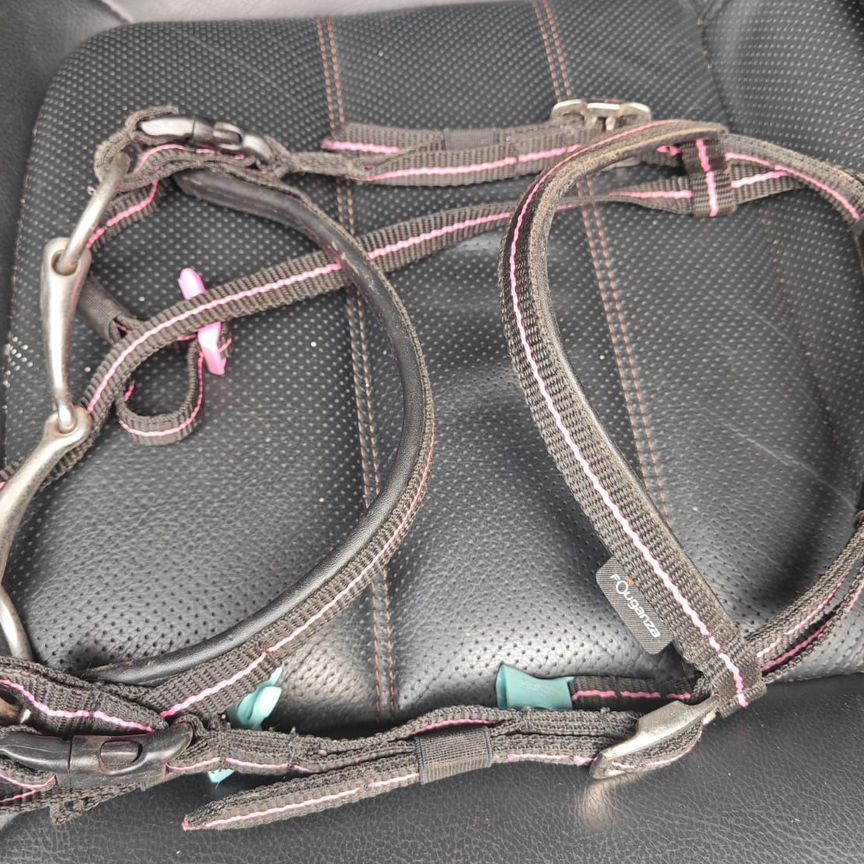 Уздечка для пони full