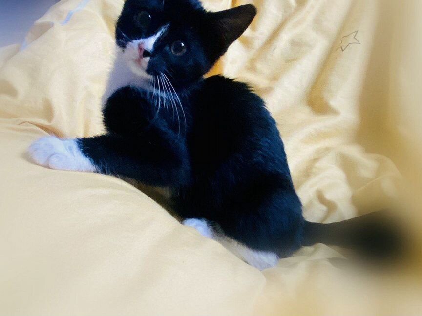 Малышка Уна ищет любящую семью