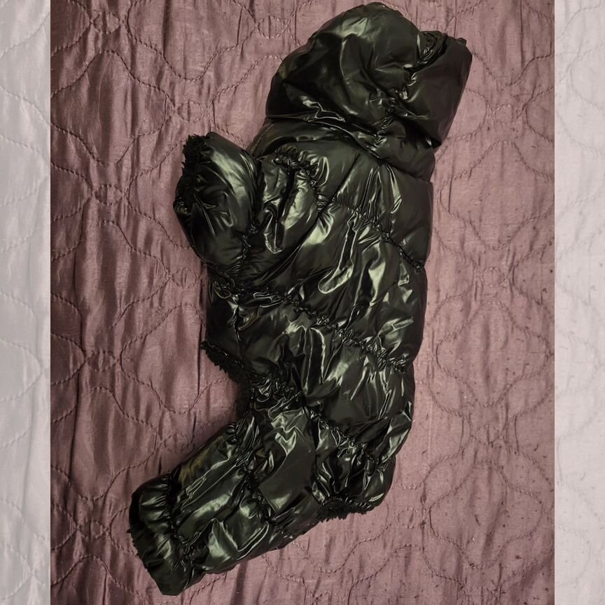 Одежда для маленьких собак