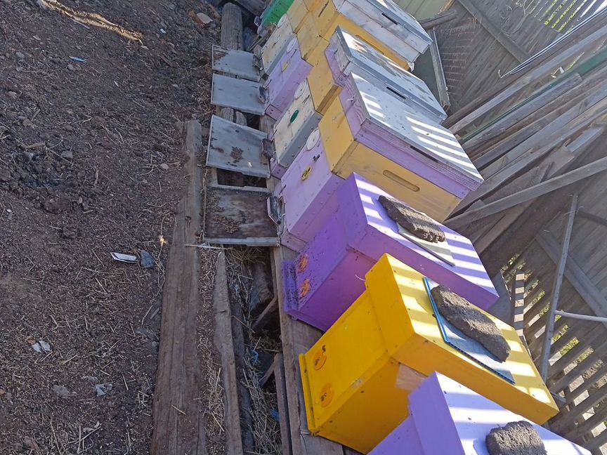 Продам улики,трал,рамки