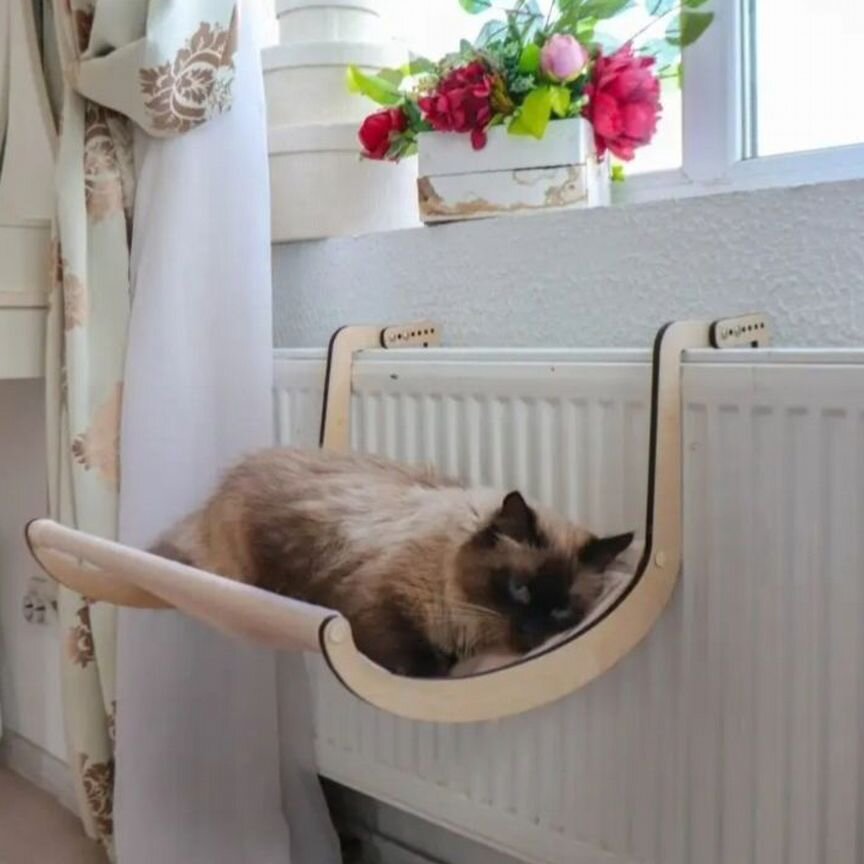 Набор вещей для кошки