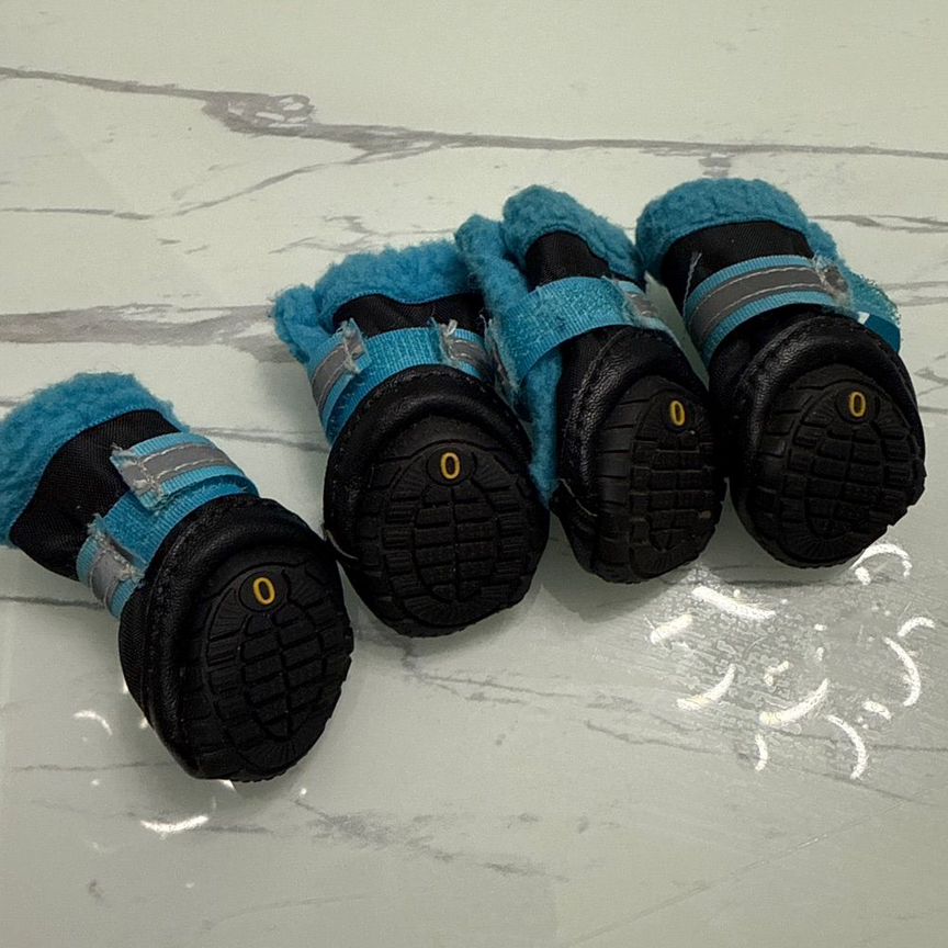 Обувь для собак