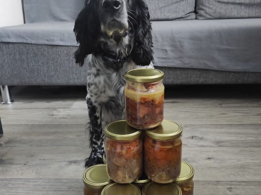 Консервы из говядины для собак