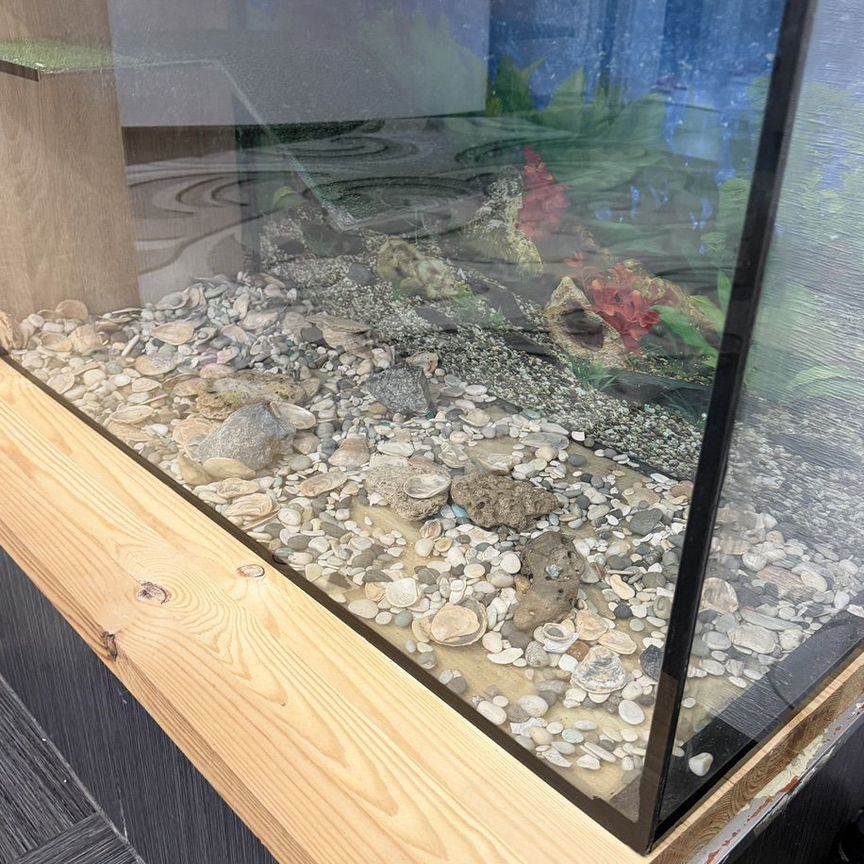 Террариум для черепахи 240 литров