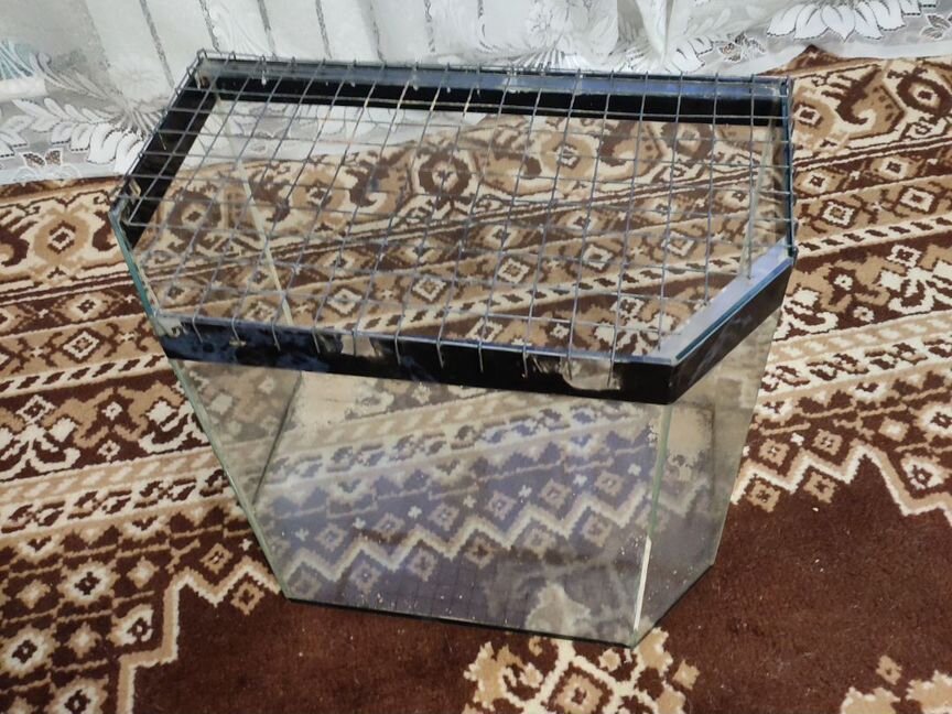 Аквариум для животных