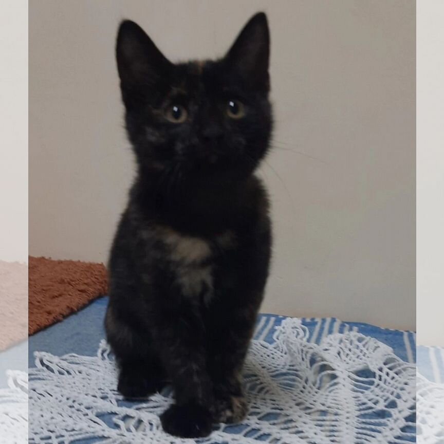 Веснушка на удачу