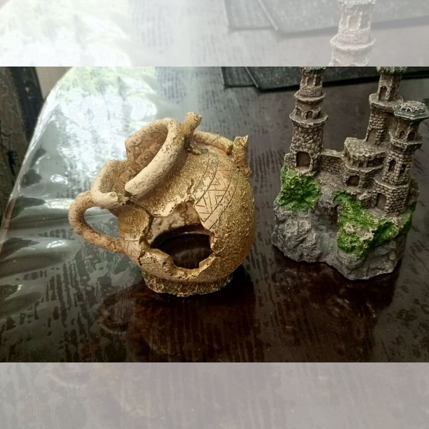 Для аквариума