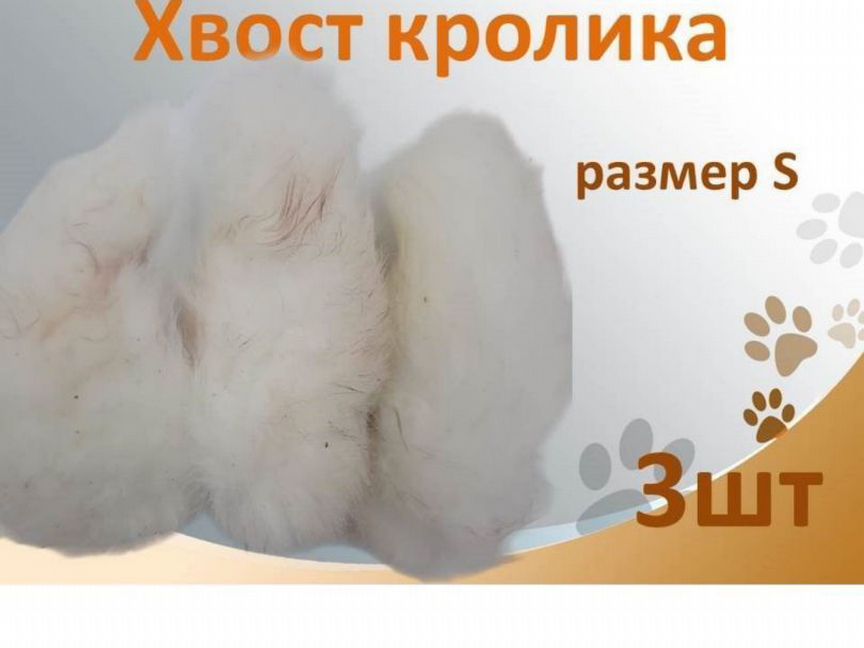 Лакомство и игрушка для собак и кошек