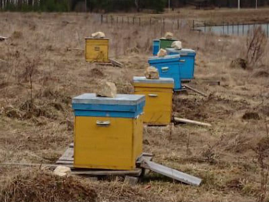 Улей для пчел бу