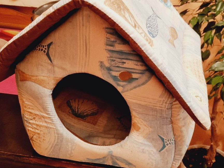 Домик для кошки бесплатно