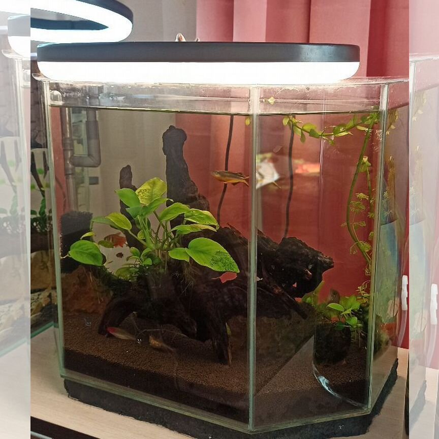 Продам панорамный аквариум