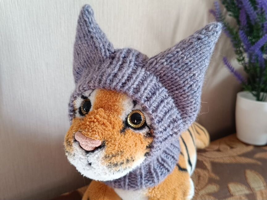 Одежда для собак